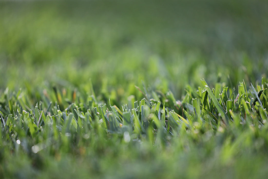 Features – Shop GopherHawk